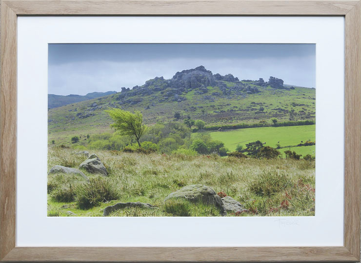 Oak Frame