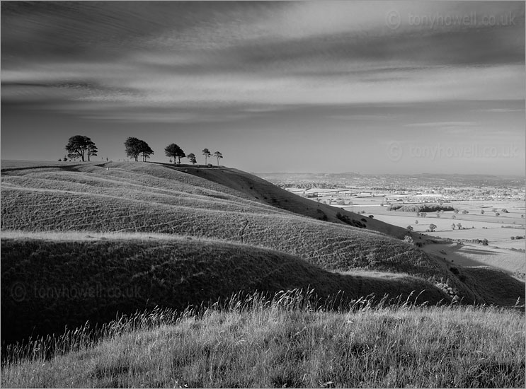 Wiltshire Photographs