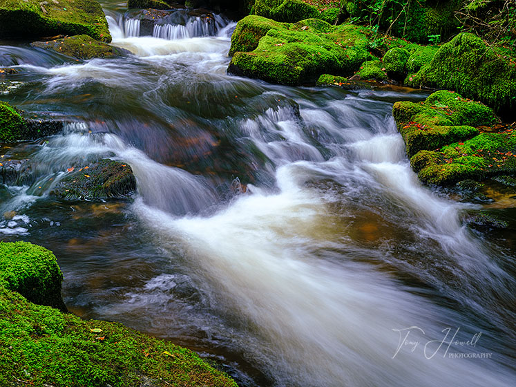 Golitha-Falls-Cornwall-GF2